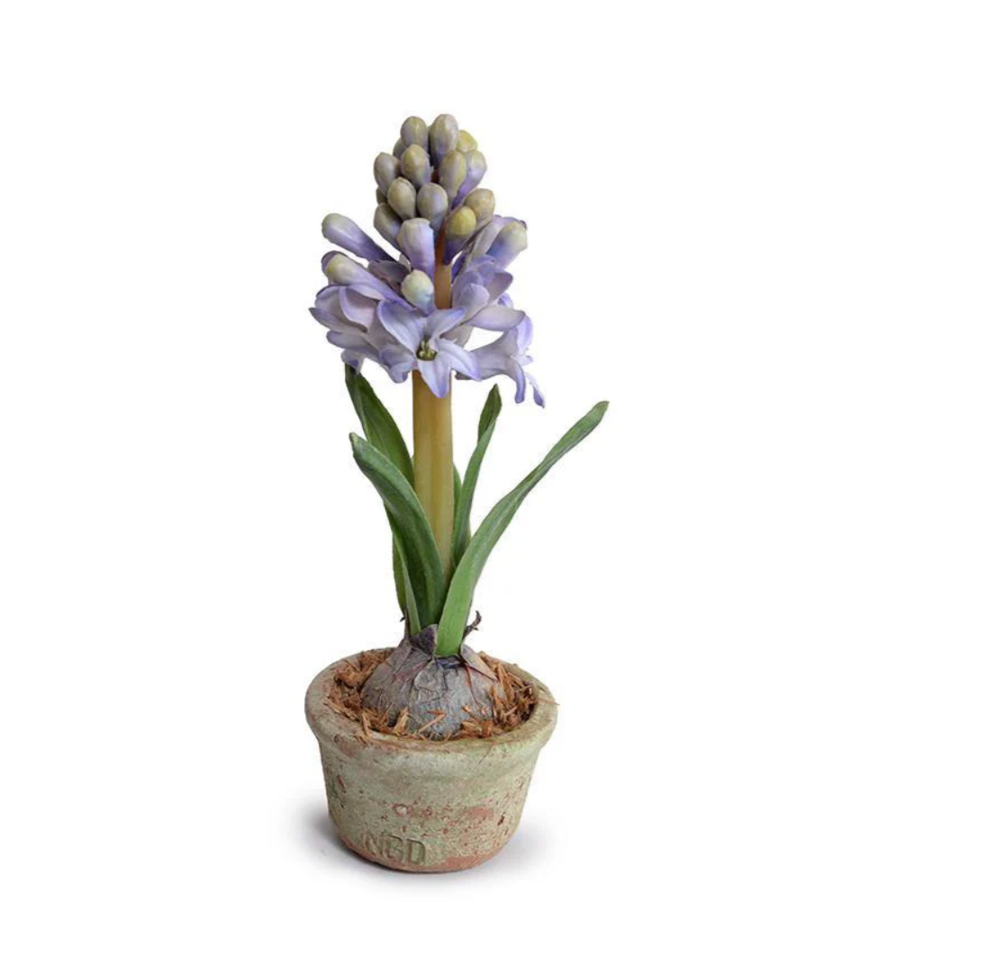 Forever Floral: Mini Hyacinth in Terracotta Pot – June St George Store